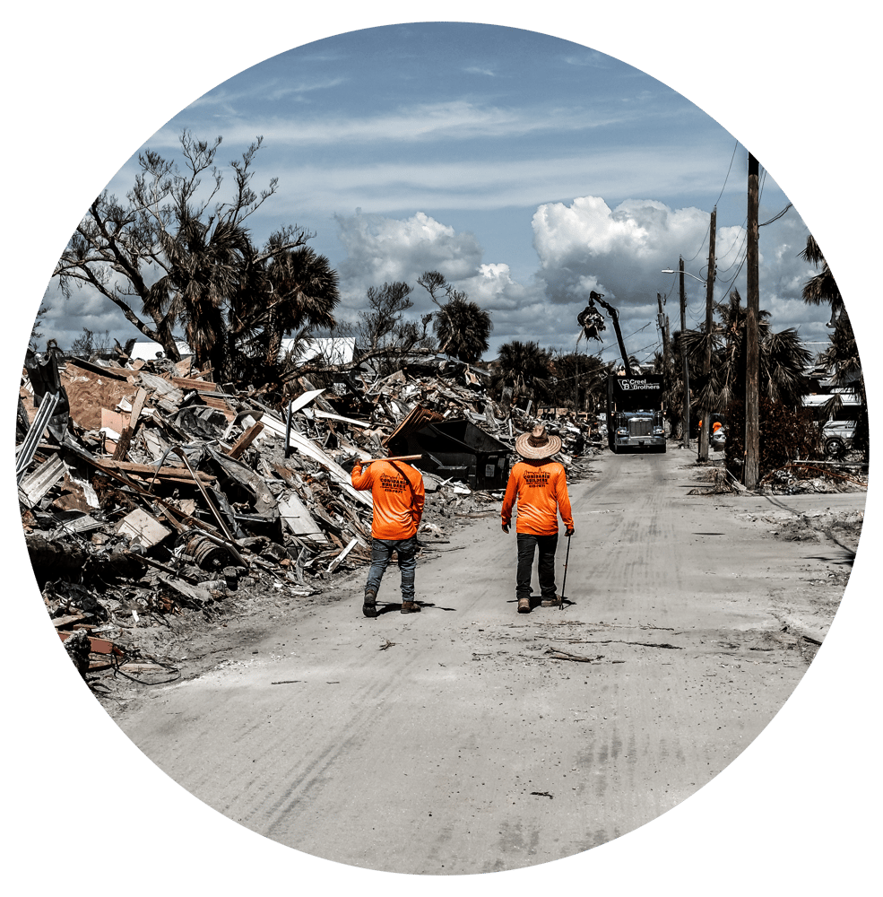 Ribbon | Network in a Box